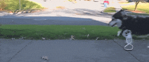 Weird science GIF - Find on GIFER