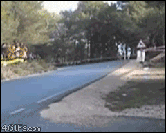 Tree race crash GIF - Find on GIFER