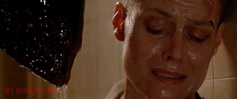 GIF yankees - animated GIF on GIFER