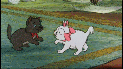GIF aloha movie - animated GIF on GIFER