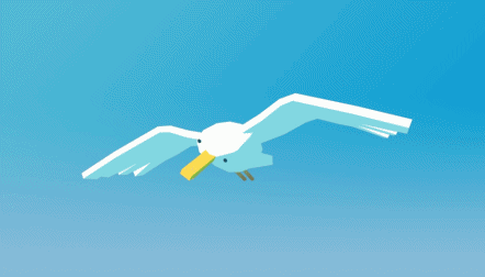 Seagull bird GIF - Find on GIFER