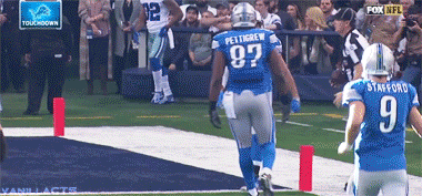Nfl cowboys michigan GIF - Find on GIFER