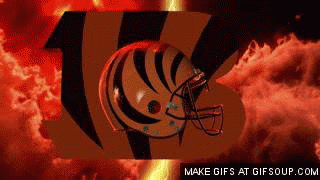 Bengals GIF - Find on GIFER
