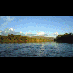 Mg GIF - Find on GIFER