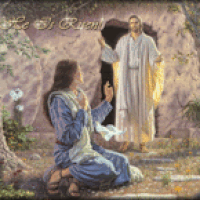 GIF risen - animated GIF on GIFER