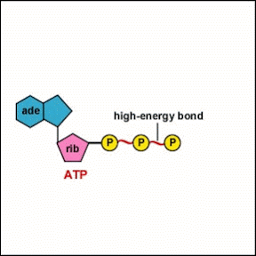 GIF atp - animated GIF on GIFER