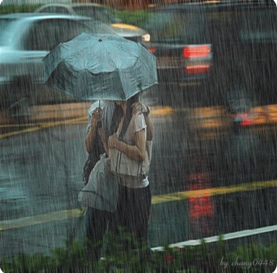 Rain GIF - Find on GIFER