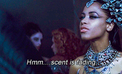 Olhos Arregalados Suricato Gif