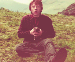 Harry potter ron poa GIF - Find on GIFER