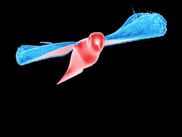 Fluid dynamics GIF - Find on GIFER