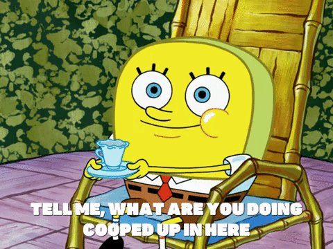 GIF not normal spongebob squarepants season 6 - animated GIF on GIFER