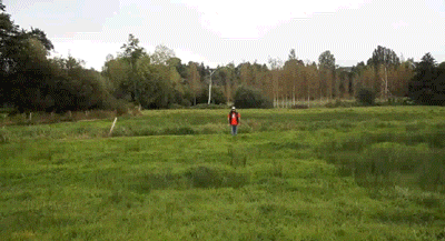 GIF irl - animated GIF on GIFER
