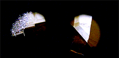 American horror story alex american horror story freak show GIF - Find ...