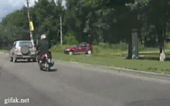 Nice reflexes GIF - Find on GIFER