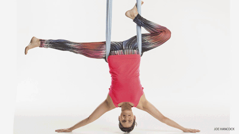 GIF pose - animated GIF on GIFER