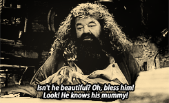 GIF harry potter hagrid - animated GIF on GIFER