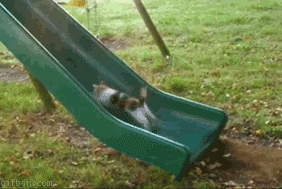 Slide common GIF - Find on GIFER
