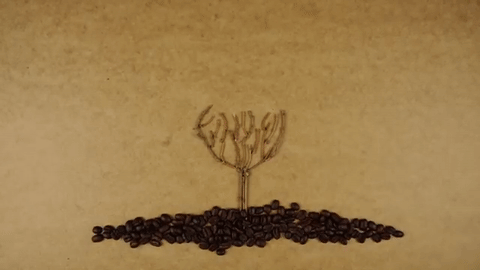 Caffeine GIF - Find on GIFER