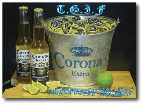 Extra GIF - Find on GIFER