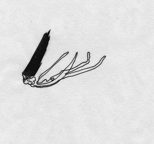 Wiggle GIF - Find on GIFER