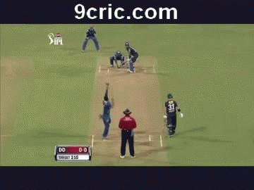 Top ten GIF - Find on GIFER