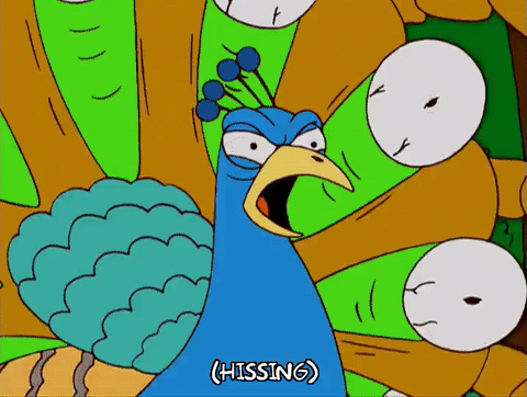 GIF mob wives chicago - animated GIF on GIFER