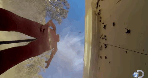 Myth busters GIF - Find on GIFER