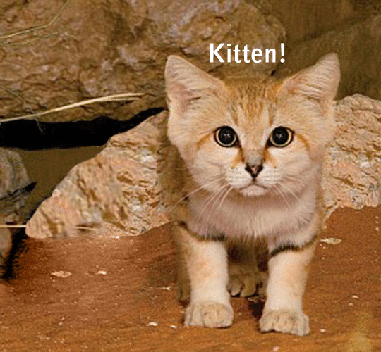 Sand GIF - Find on GIFER
