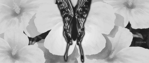 Utah GIF - Find on GIFER