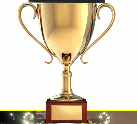 GIF trophy - animated GIF on GIFER