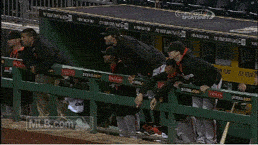 Mlb san francisco giants sfgiants GIF - Find on GIFER
