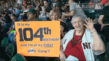 Baseball mlb fans GIF - Find on GIFER