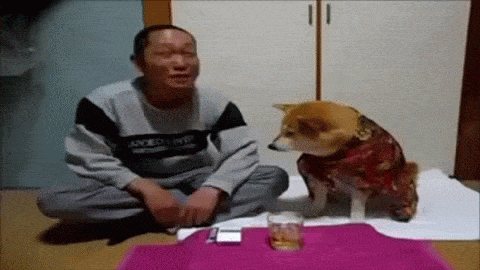 GIF bro - animated GIF on GIFER