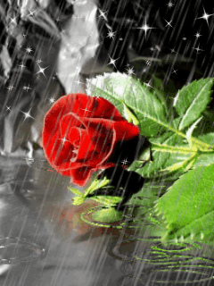 Heavy rain GIF - Find on GIFER