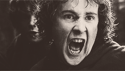 Sam the lord of the rings GIF - Find on GIFER