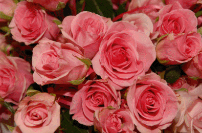 2008 GIF - Find on GIFER