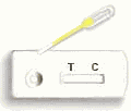 Test GIF - Find on GIFER