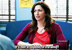 Will recap one GIF - Find on GIFER