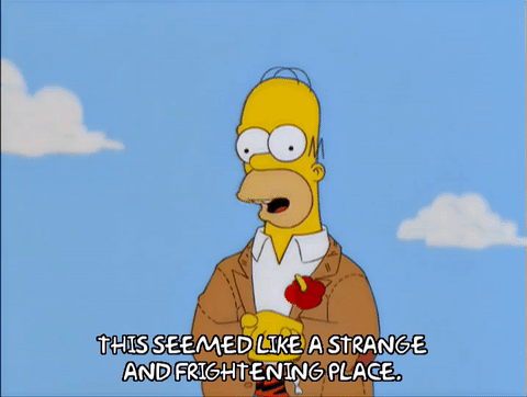 Homer simpson episode 15 GIF - Find on GIFER