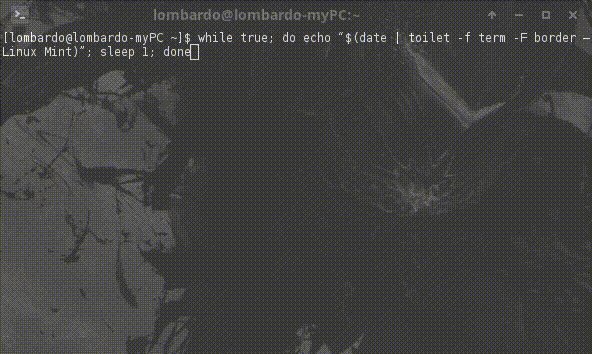 GIF mint - animated GIF on GIFER