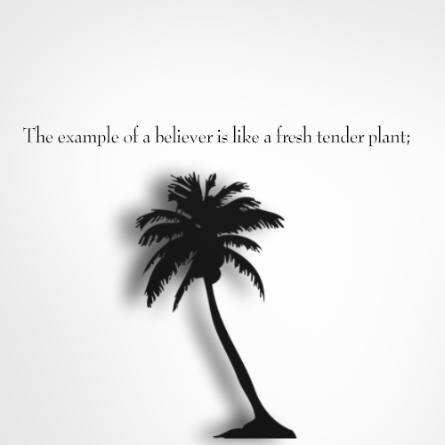 GIF poetry - animated GIF on GIFER