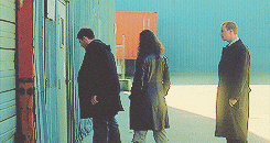 Ncis ziva david anthony dinozzo GIF - Find on GIFER