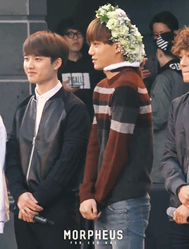 Kind GIF - Find on GIFER