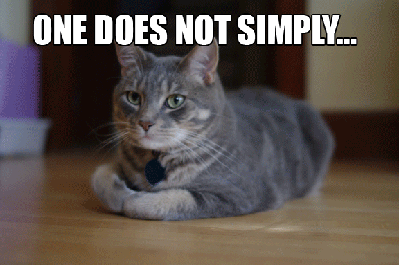 Absurd GIF - Find on GIFER