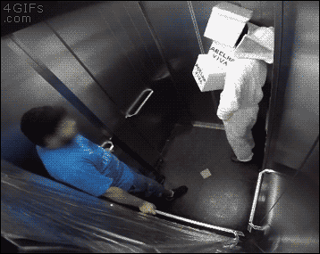 GIF bee elevator prank - animated GIF on GIFER