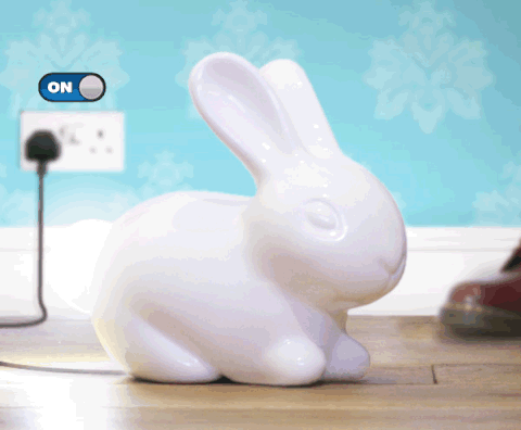 Egg case GIF - Find on GIFER