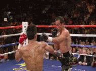 GIF boxing - animated GIF on GIFER