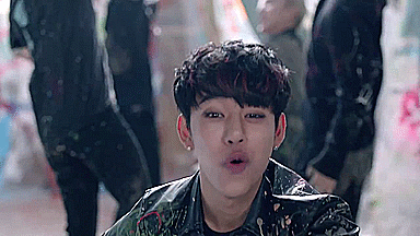 GIF wild - animated GIF on GIFER