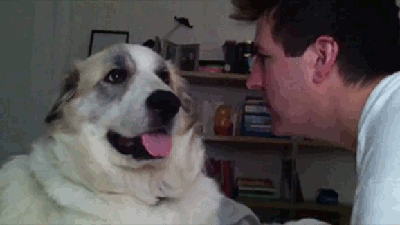 Excitement GIF - Find on GIFER