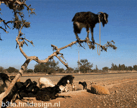 Lt GIF - Find on GIFER